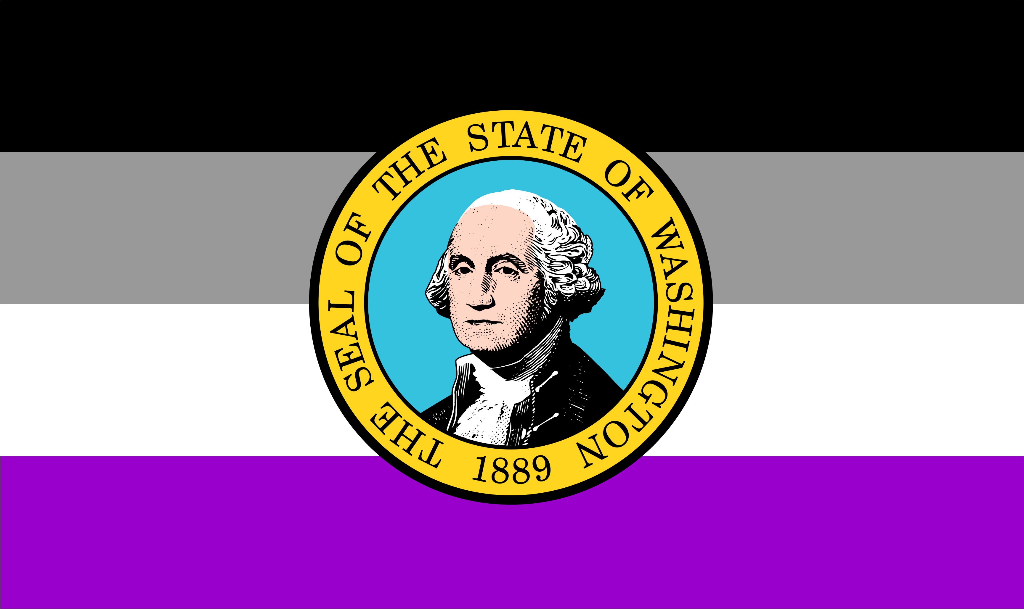 Washington State Aro and Ace Flags – Seattle Aces and Aros